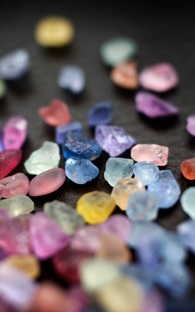 Madagascar - Wennick-Lefèvre